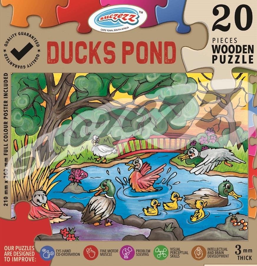 20 piece puzzle